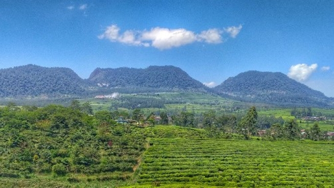 MOUNTAINS IN GREATER BANDUNG: Mount Wayang Pangalengan with the Charm ...